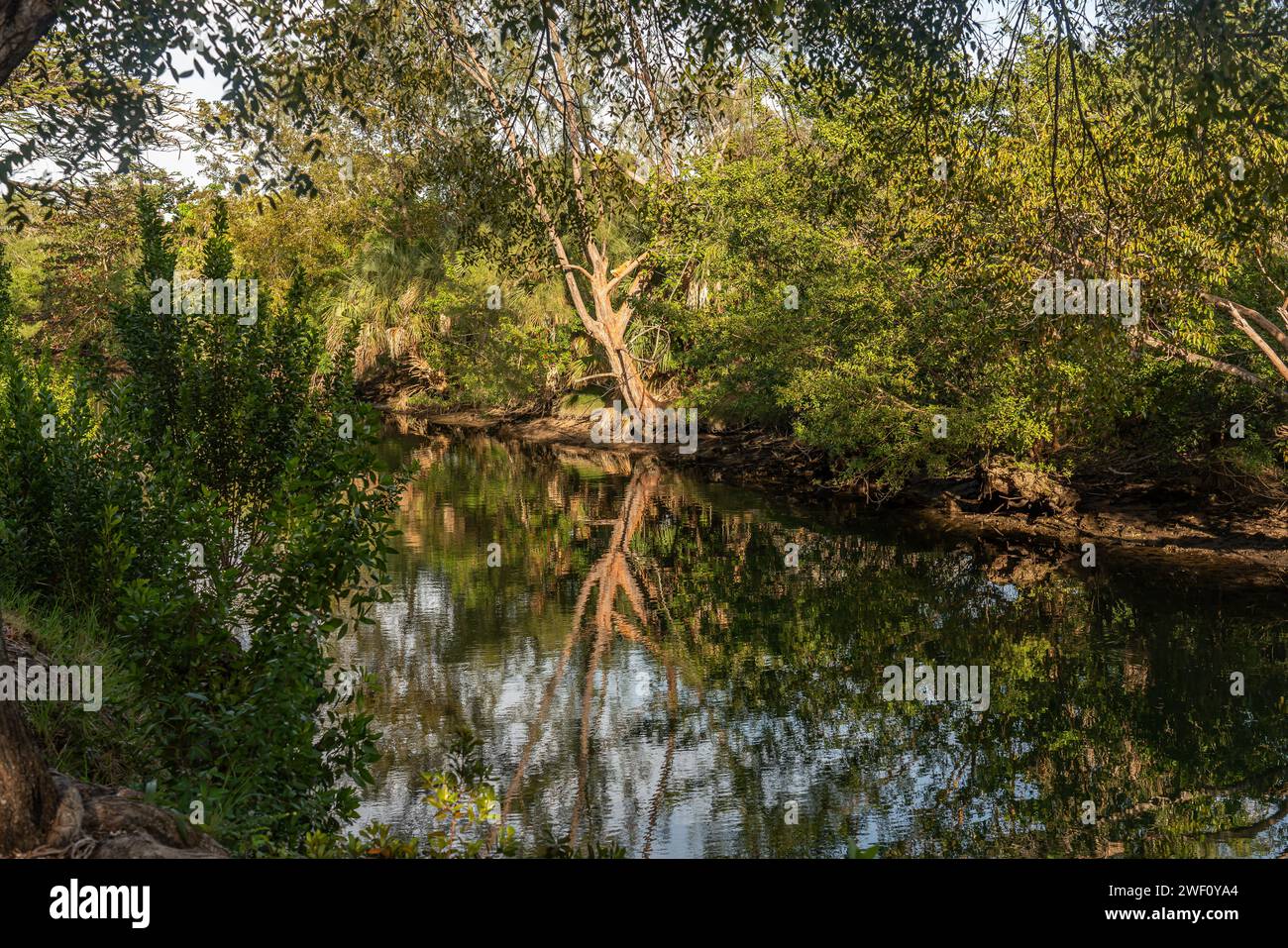 Park of Miami University in South Miami, Florida: Landscape with the ...