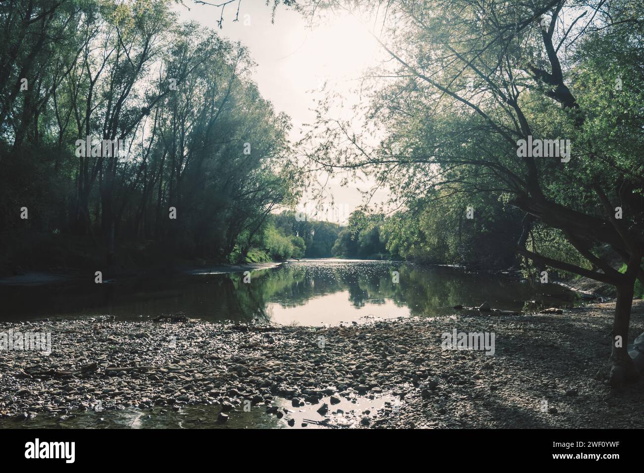 still water in the river, romantic bay with green trees around Stock ...
