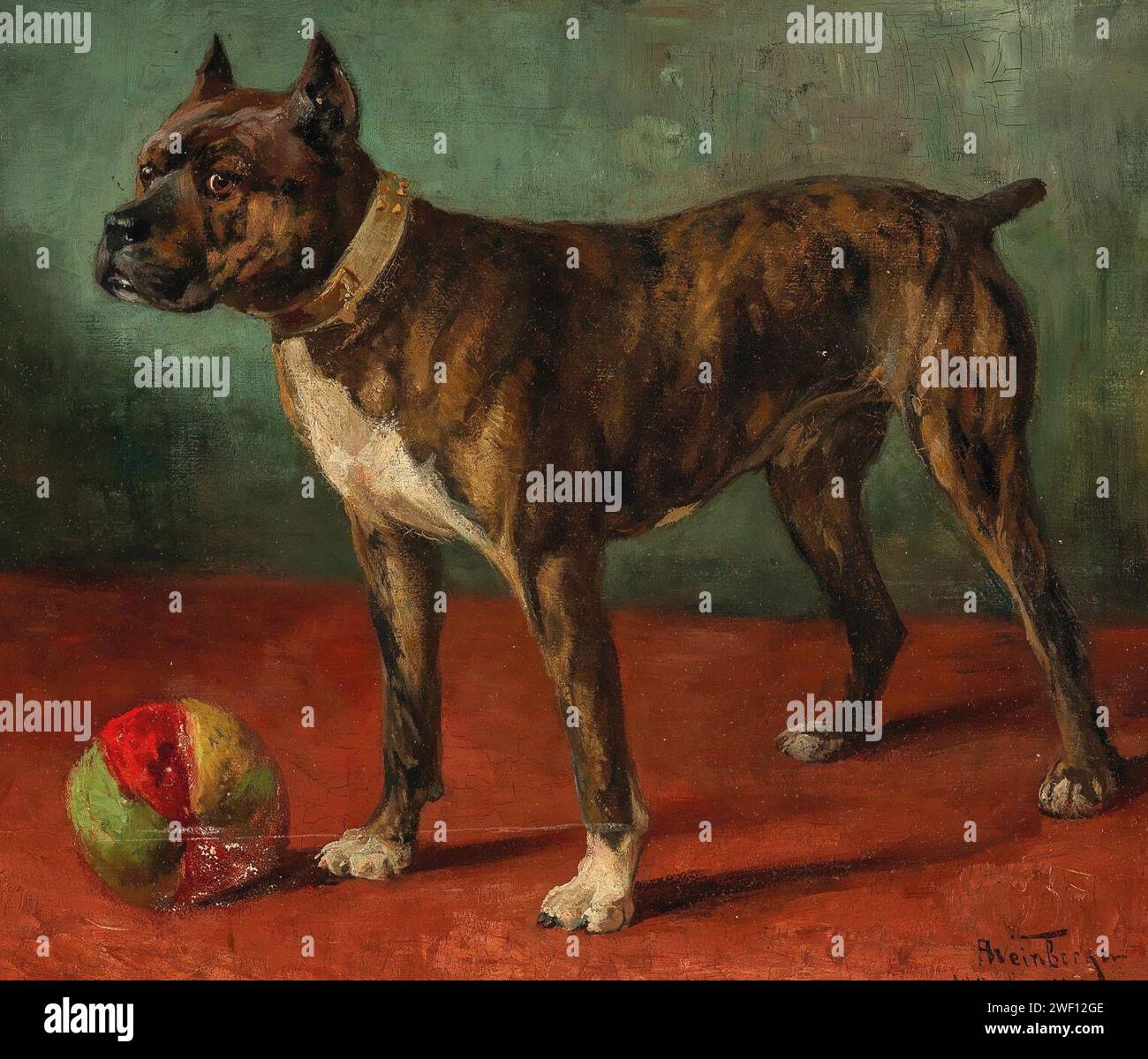 Anton Weinberger Boxer mit Ball Stock Photo - Alamy