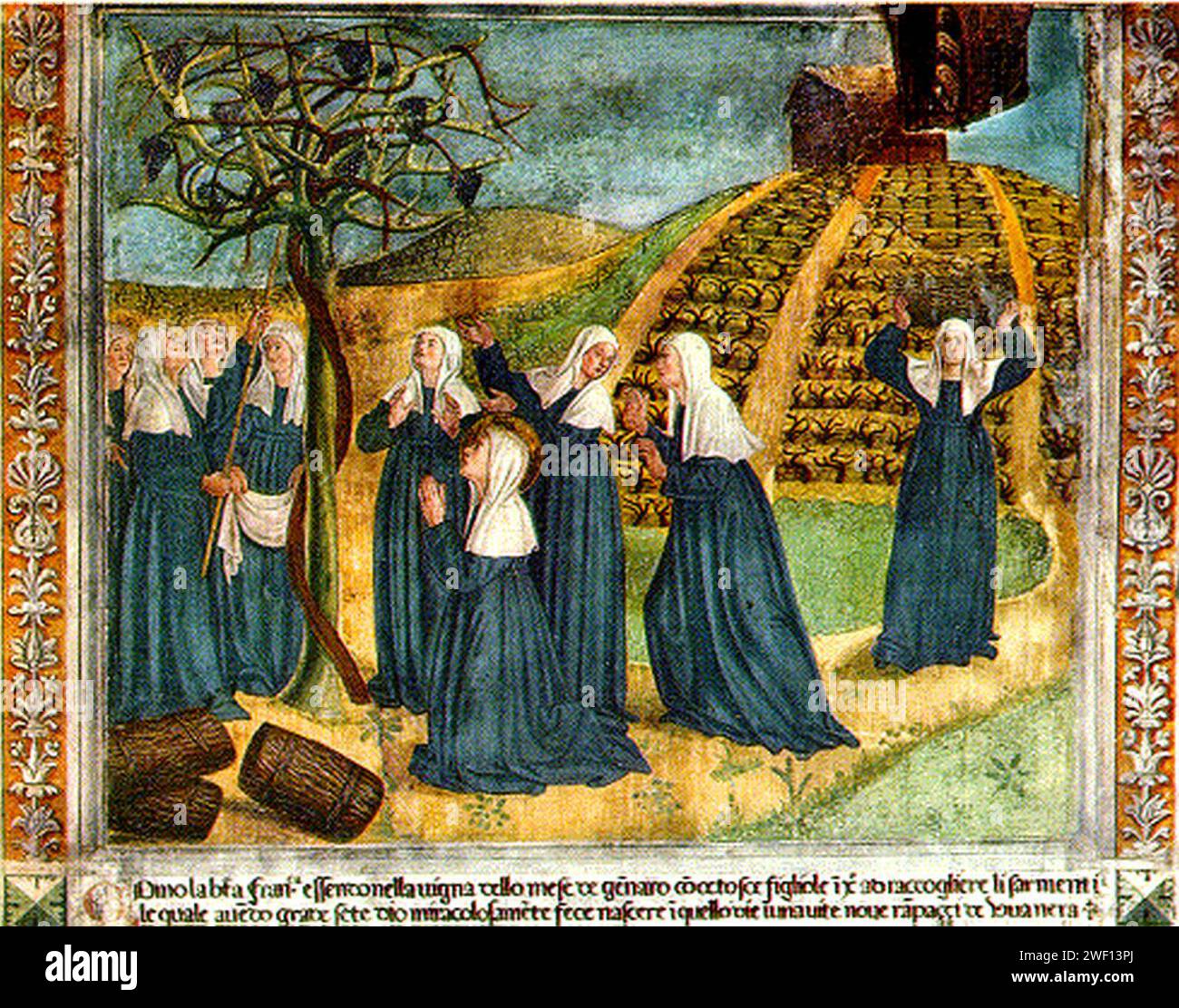 Harvesting of grapes rome hi-res stock photography and images - Alamy