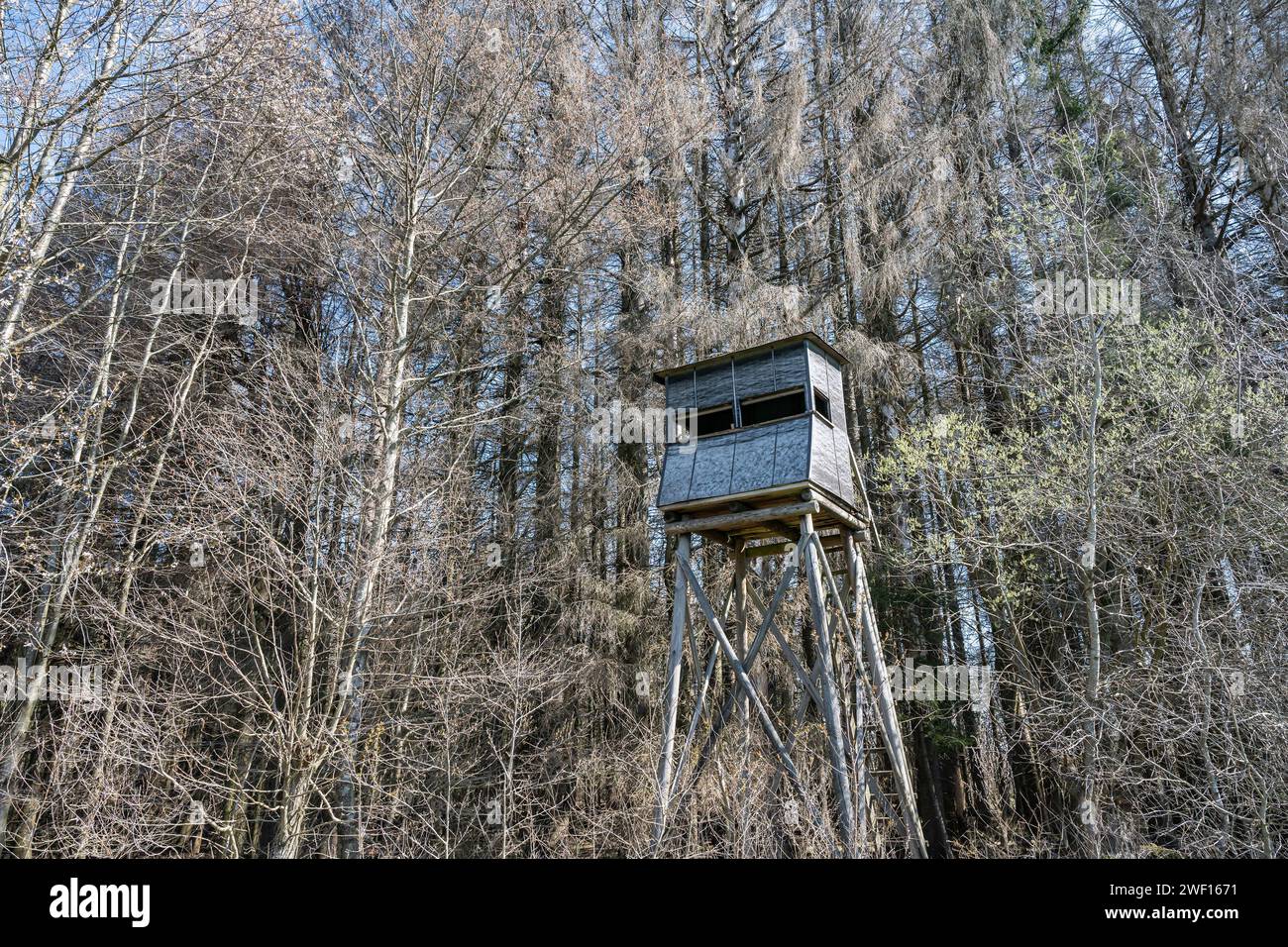 A hunters seat in the woods surrounded by trees in winter. Seen in a ...