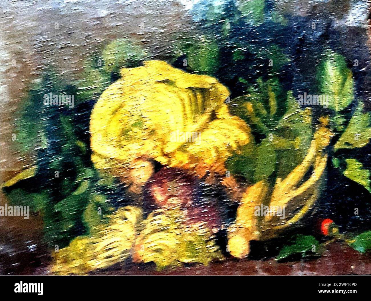 Verdura vintage hi-res stock photography and images - Alamy