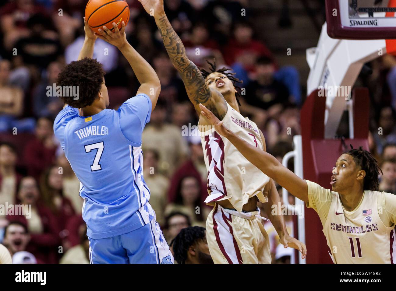 North Carolina guard Seth Trimble (7) puts a shot up as Florida State ...