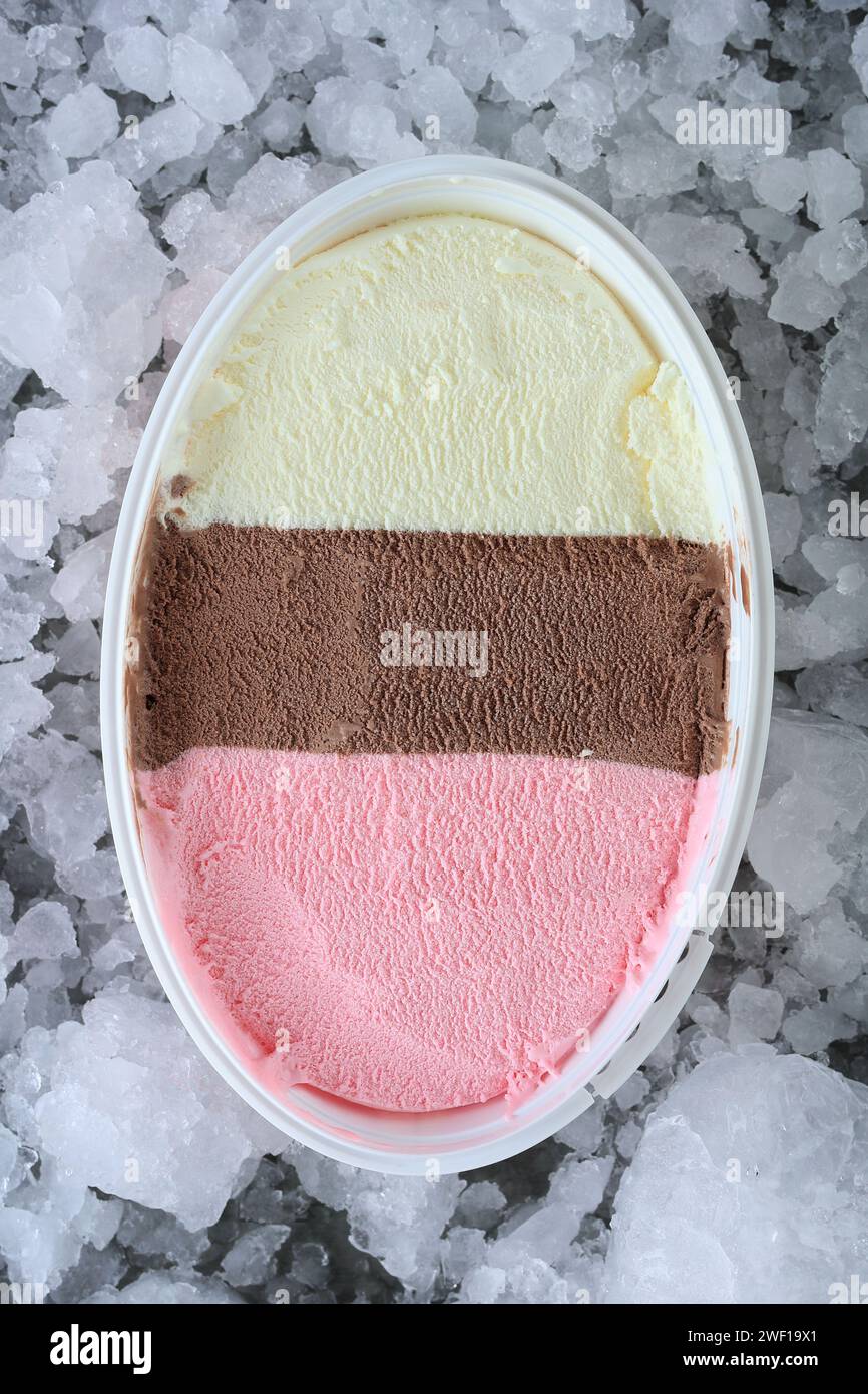 Vanilla, Chocolate, and Strawberry Ice Cream in One Container. One Ice ...