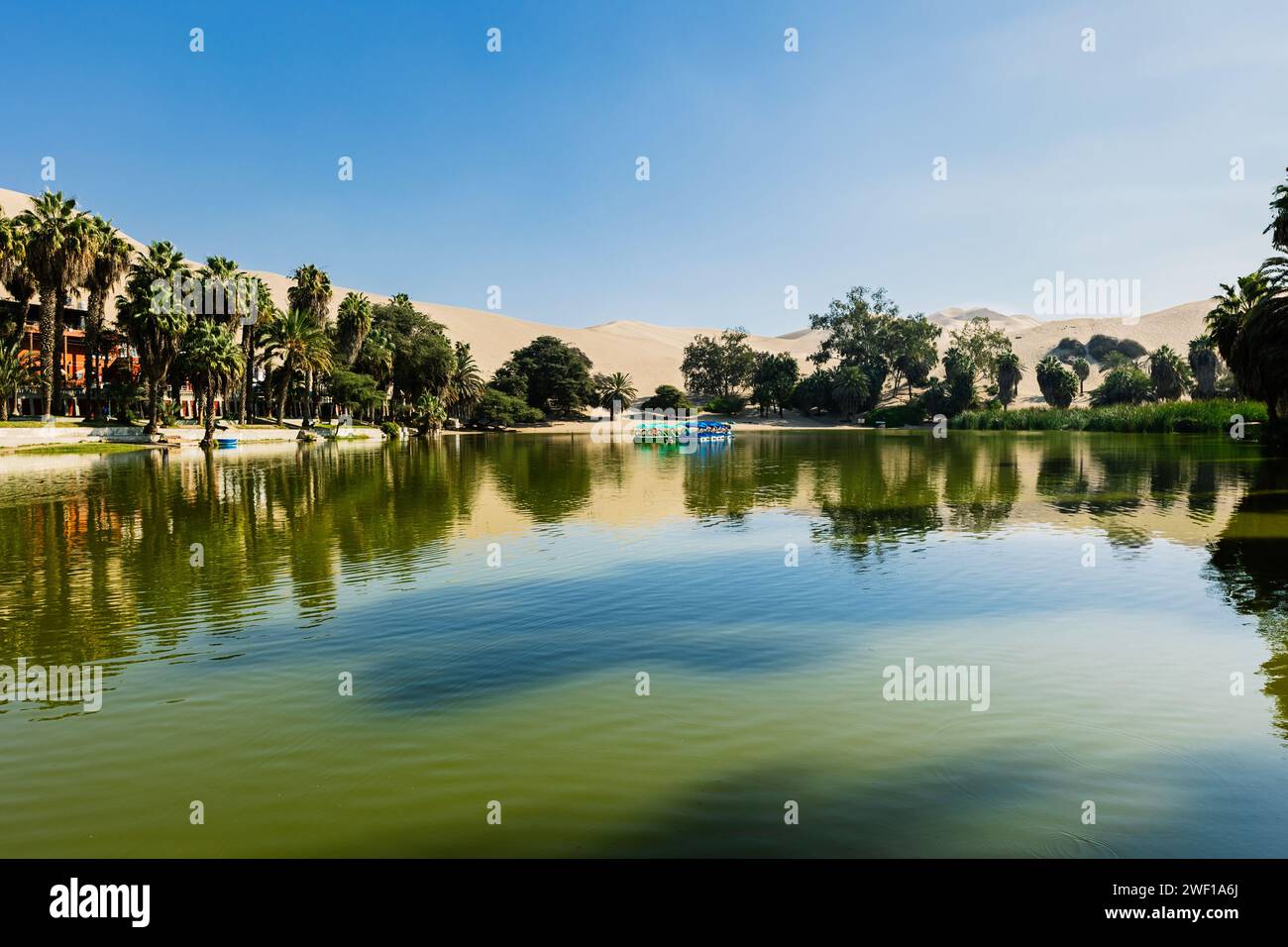 Oasis of Huacachina near Ica city in Peru. Lake and trees inside the ...