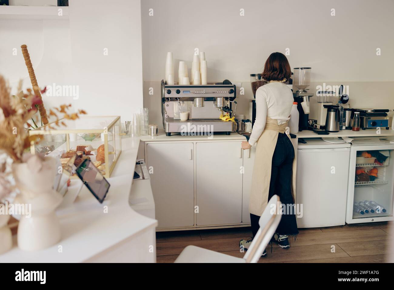 Back view of female barista grinding coffee using professional grinder ...