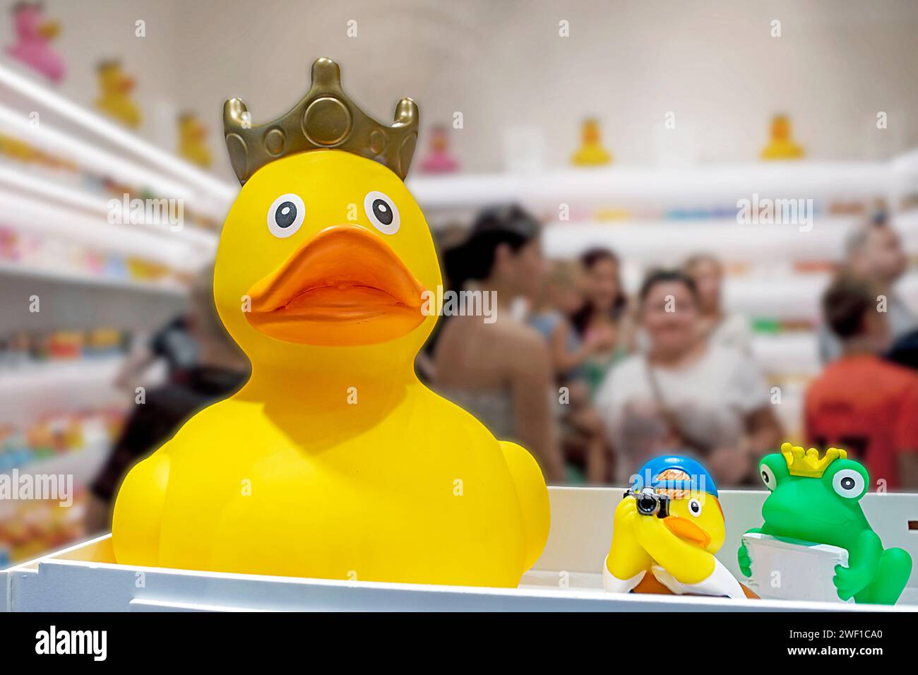 cute yellow toy rubber duck with a crown in a display case in a toy ...