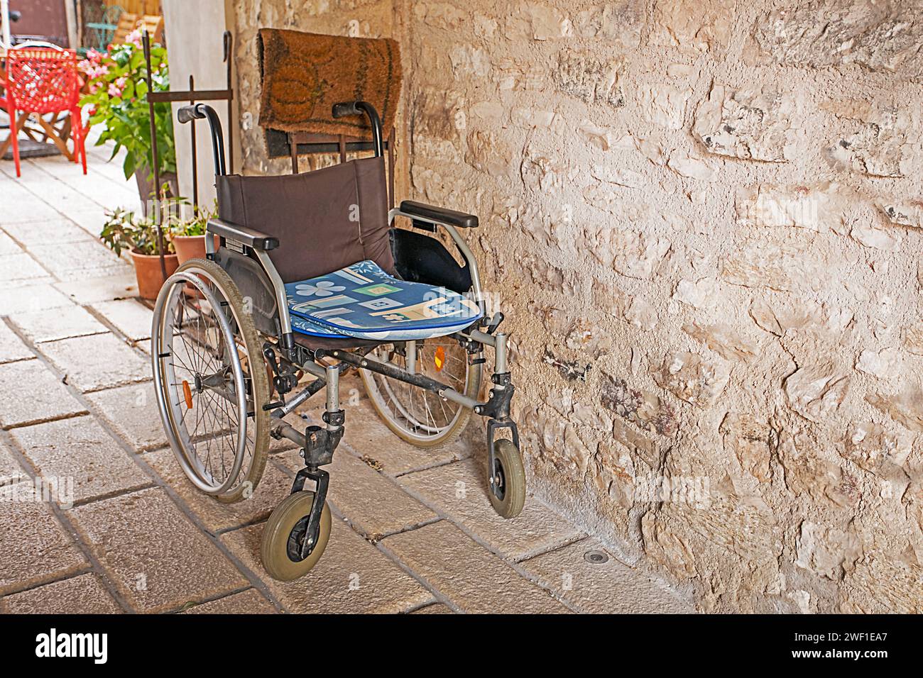 stroller for mobility for people with special needs. Orthritis and ...