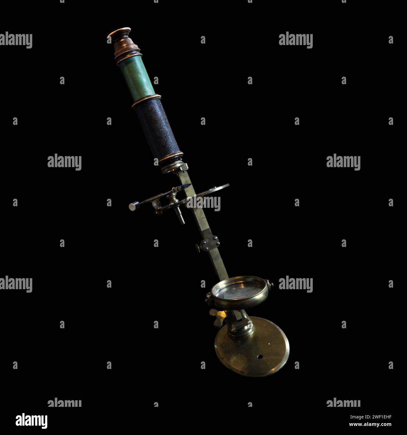 Aquatic microscope hi-res stock photography and images - Alamy