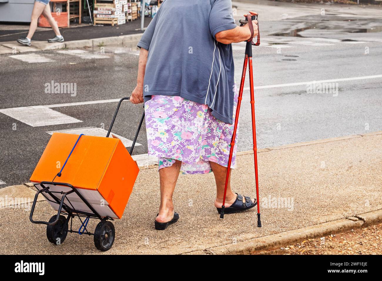 elderly woman with a stick is pushing a cart with a box. Caring for the ...