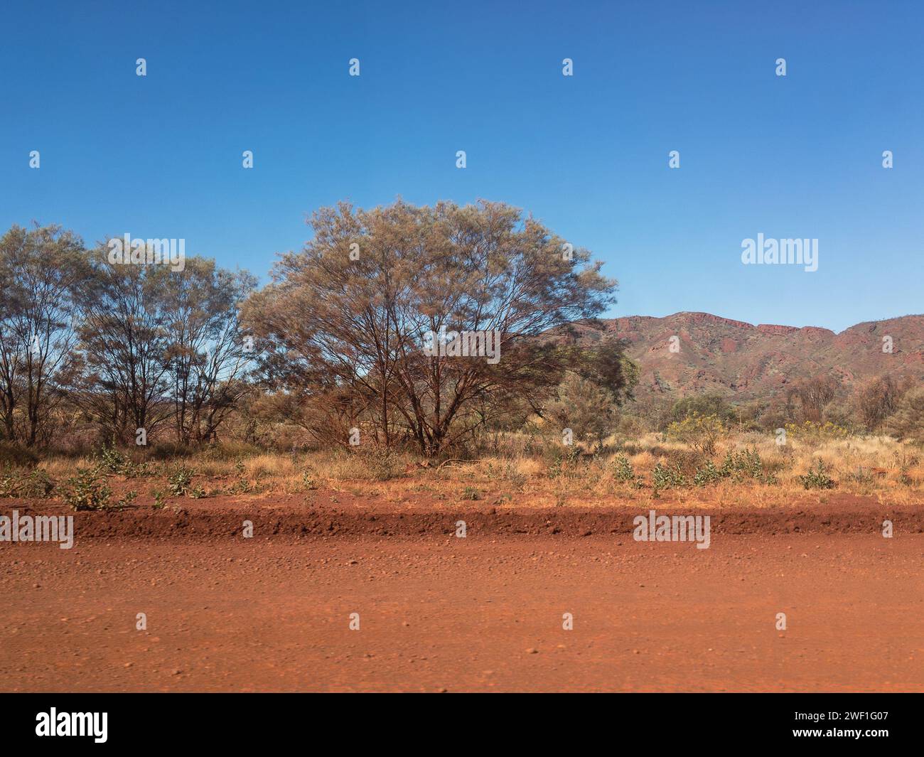 Landscape of outback dusty road in Western Australia with bush and ...