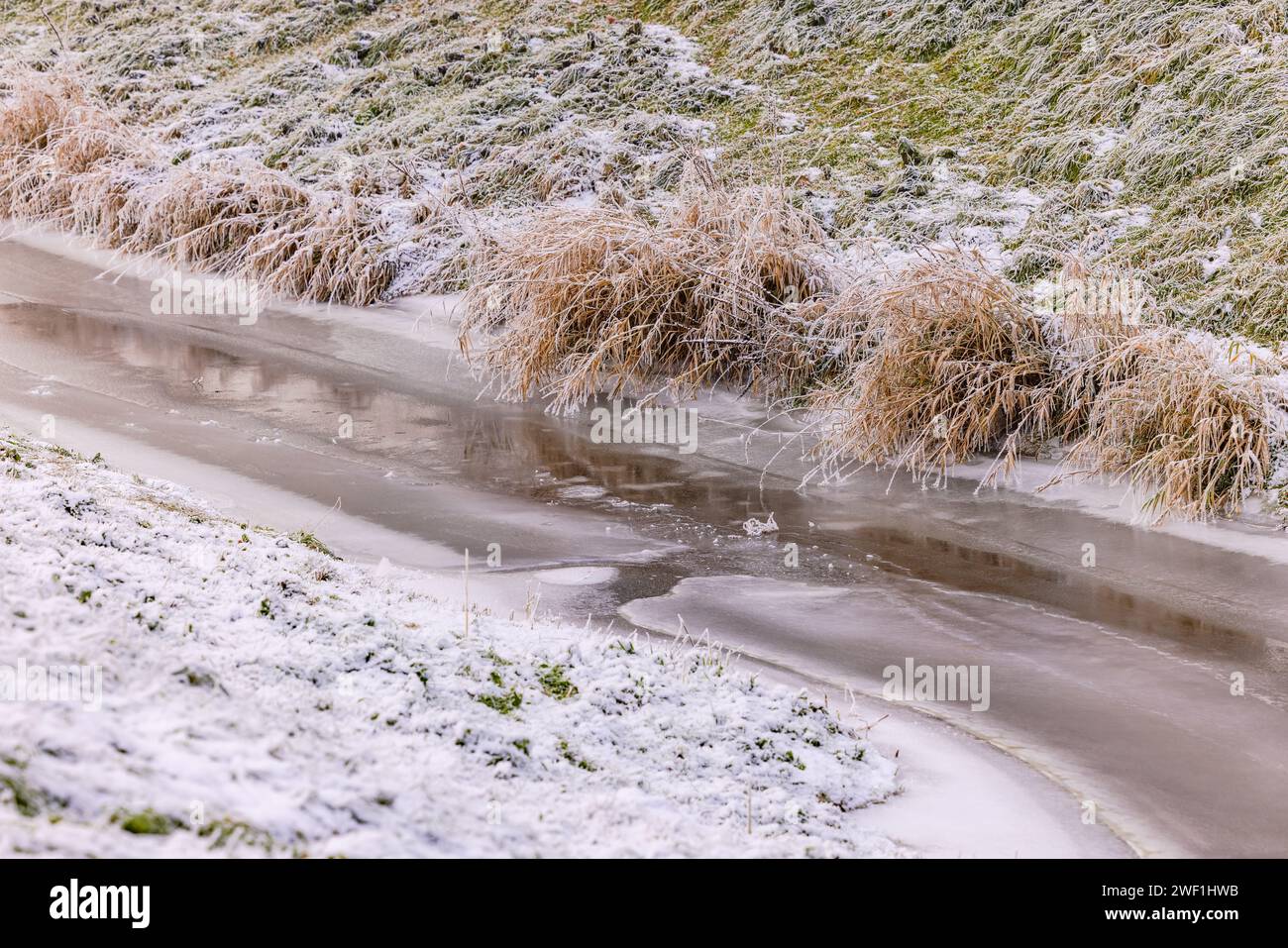 Stream frozen with ice and snow on a slope with grass in winter Stock ...