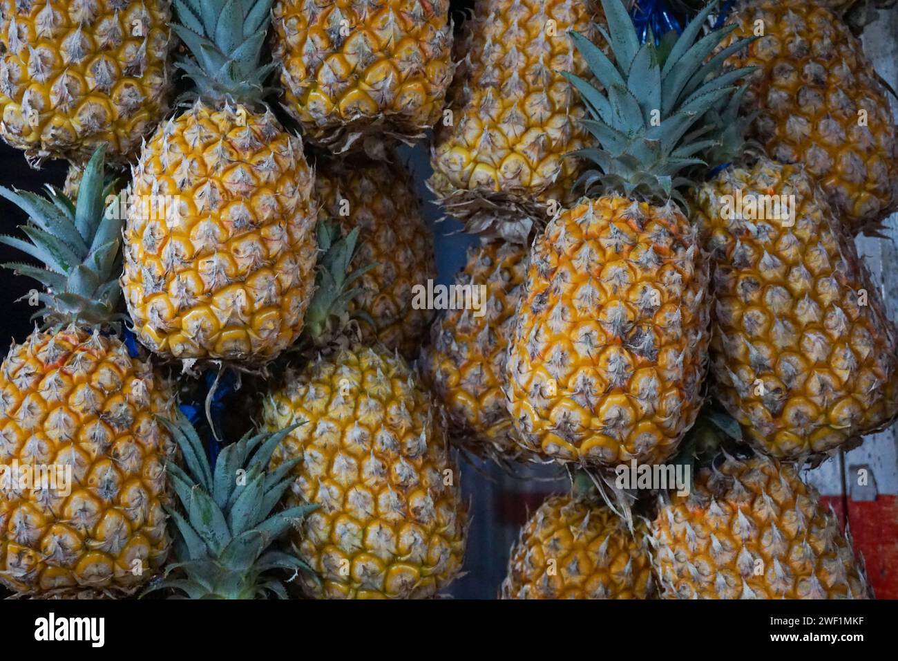Stock photos of Indonesian local fruits that look fresh Stock Photo - Alamy