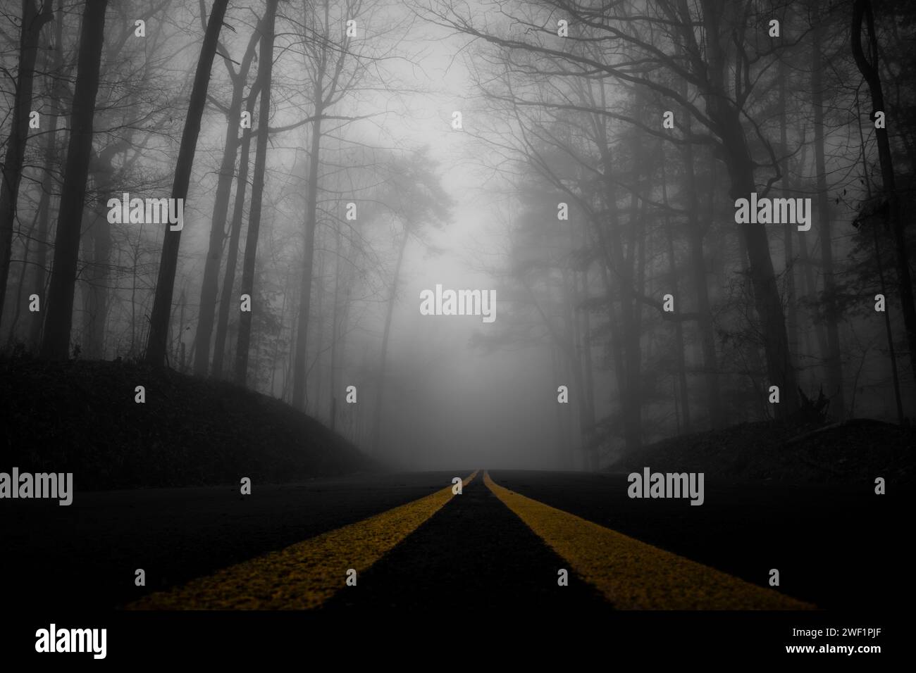 Color pop on the double yellow lines of a dark street, leading into the ...