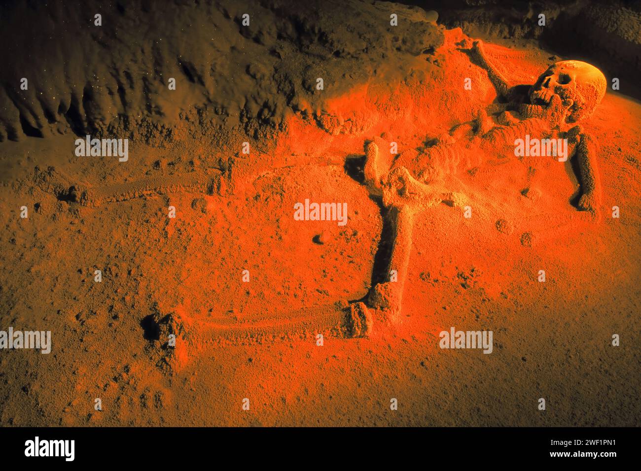 Ancient Maya skeleton covered in calcite crystals, probable human ...
