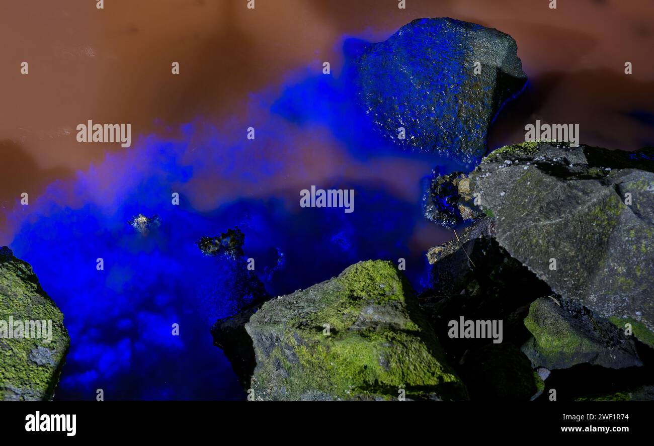 Sea Sparkle (Noctiluca scintillans) blue glowing algae in water at ...