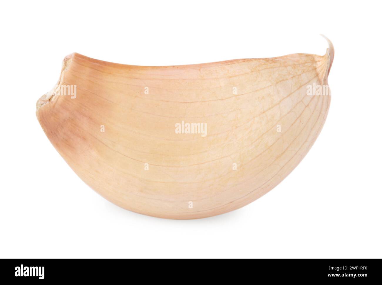 One clove of garlic isolated on white Stock Photo - Alamy