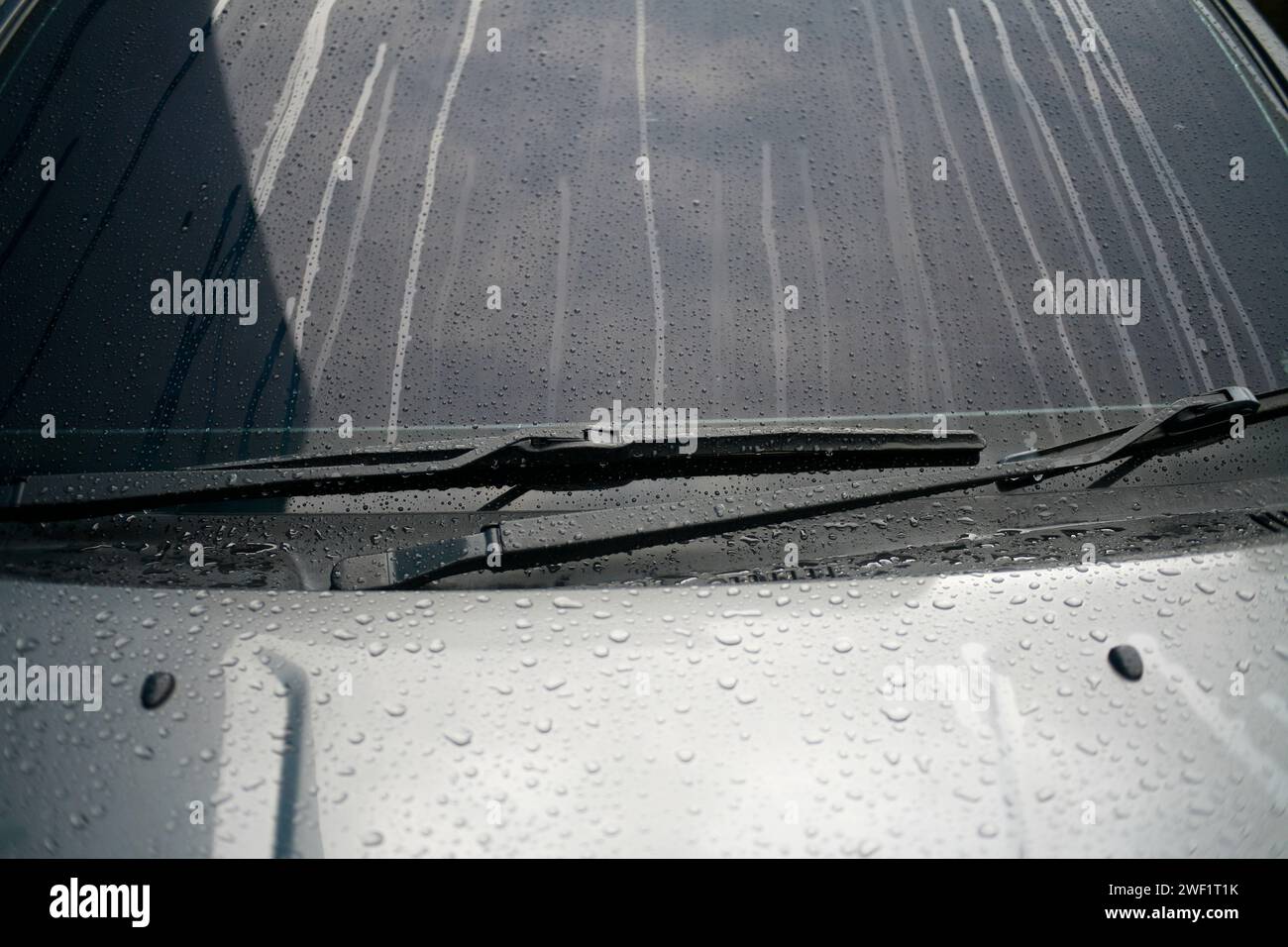 close-up view of sweaty car with dew all over windshield Stock Photo ...