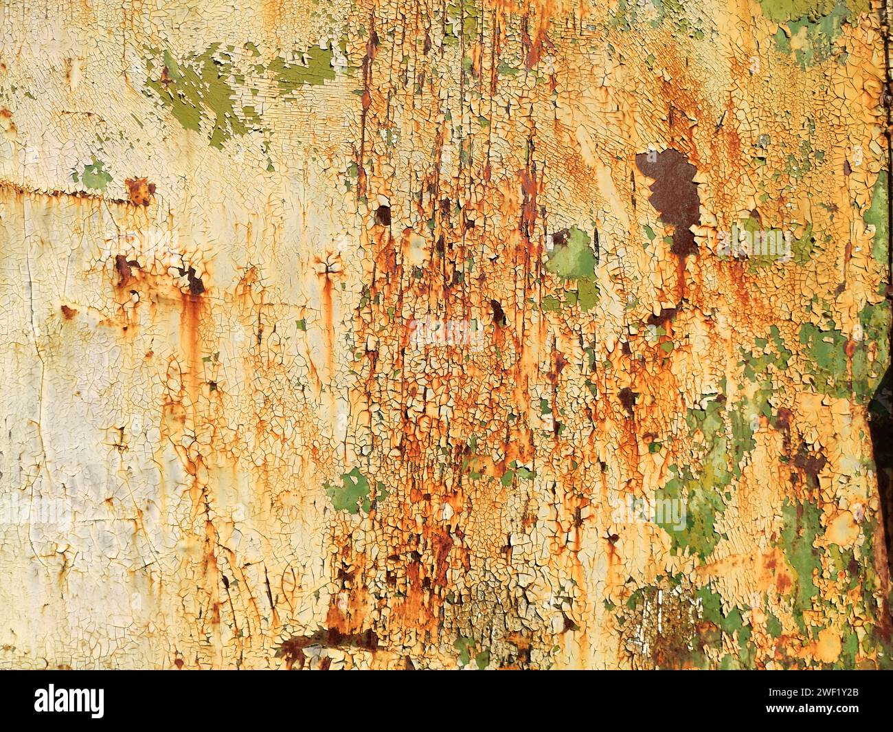 Corroded metal background. Rusted white painted metal wall. Rusty metal ...