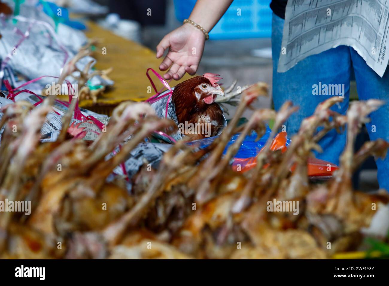 Sibu, Sarawak, East Malaysia. 28th Jan, 2024. A vendor picks up a ...