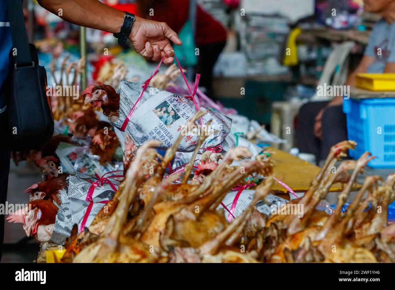 Sibu, Sarawak, East Malaysia. 28th Jan, 2024. A customer picks a living ...
