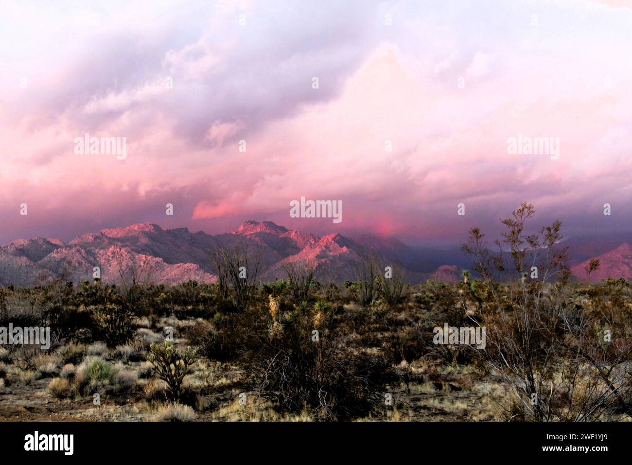 Haulapia mountains hi-res stock photography and images - Alamy