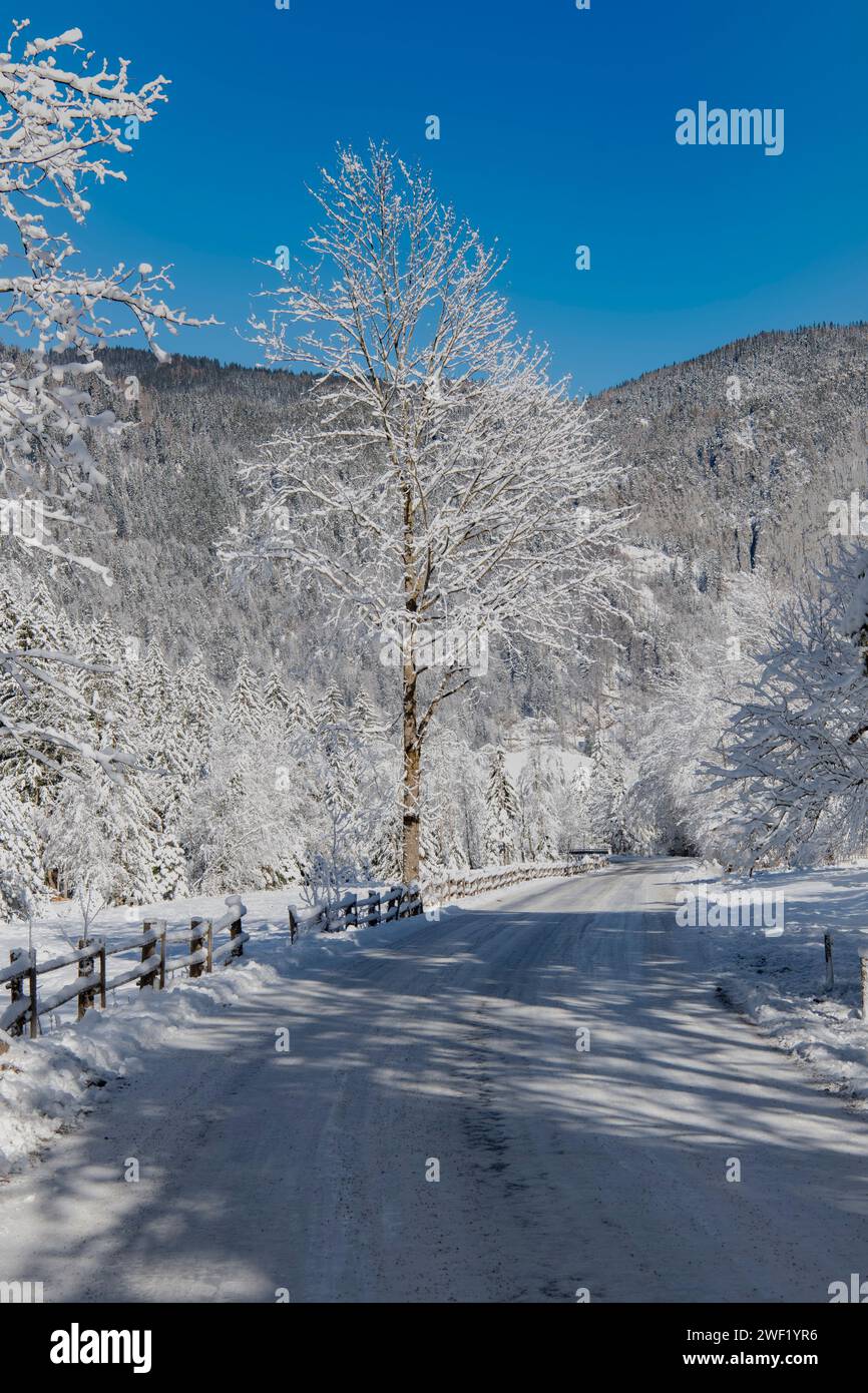 Logar Valley, Slovenia Stock Photo - Alamy