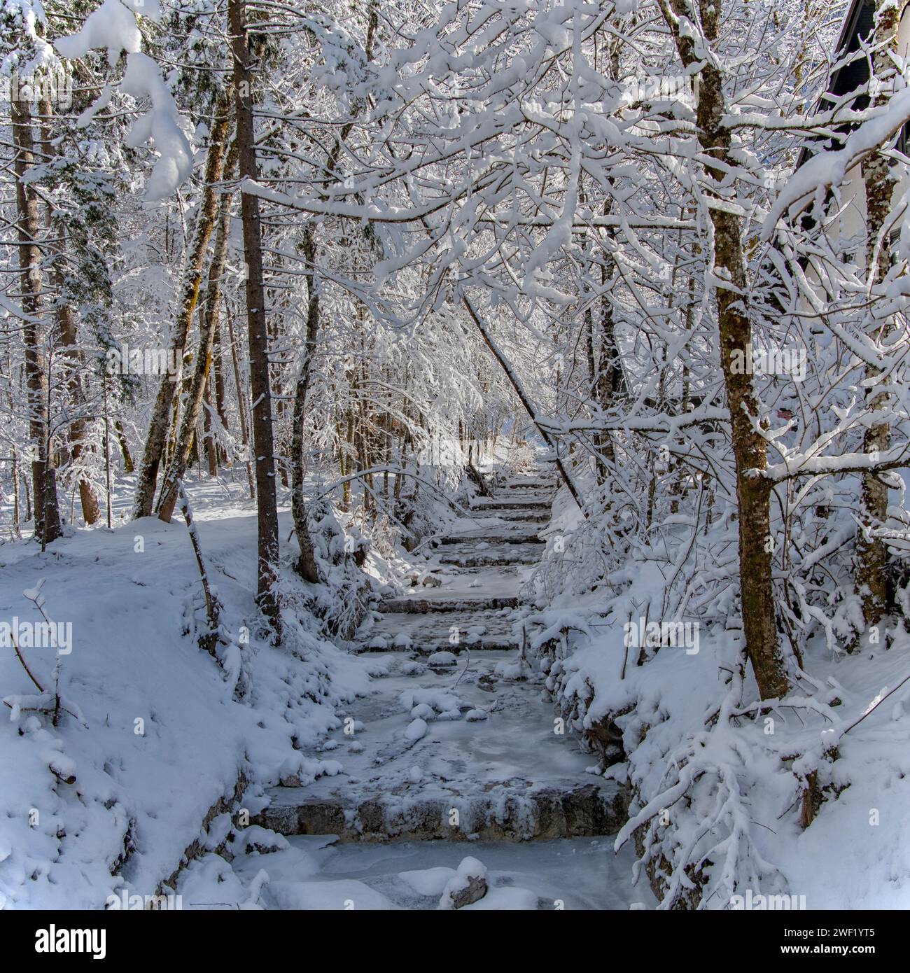 Logar Valley, Slovenia Stock Photo - Alamy