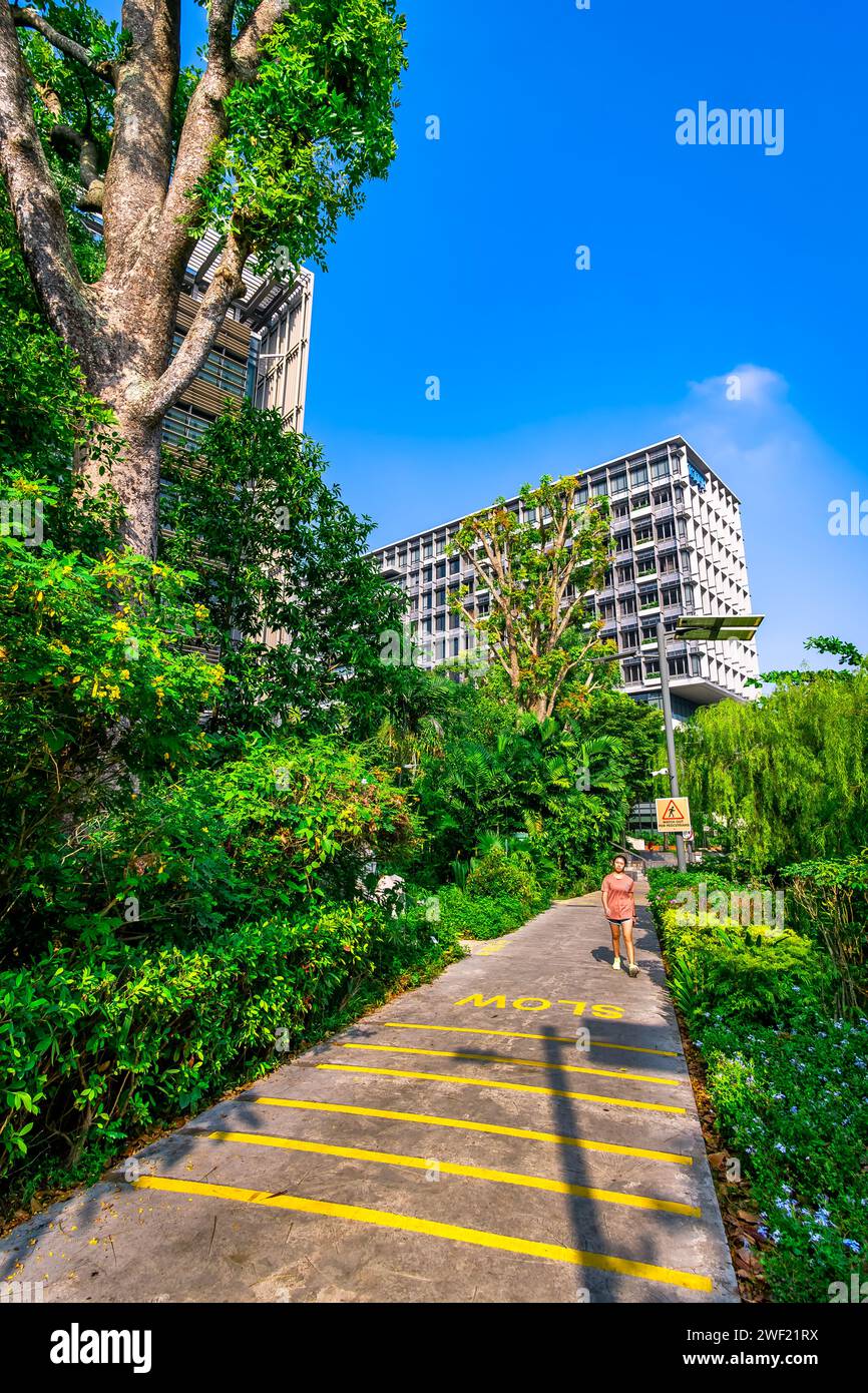 Khoo Teck Puat hospital provide good quality, affordable and hassle ...