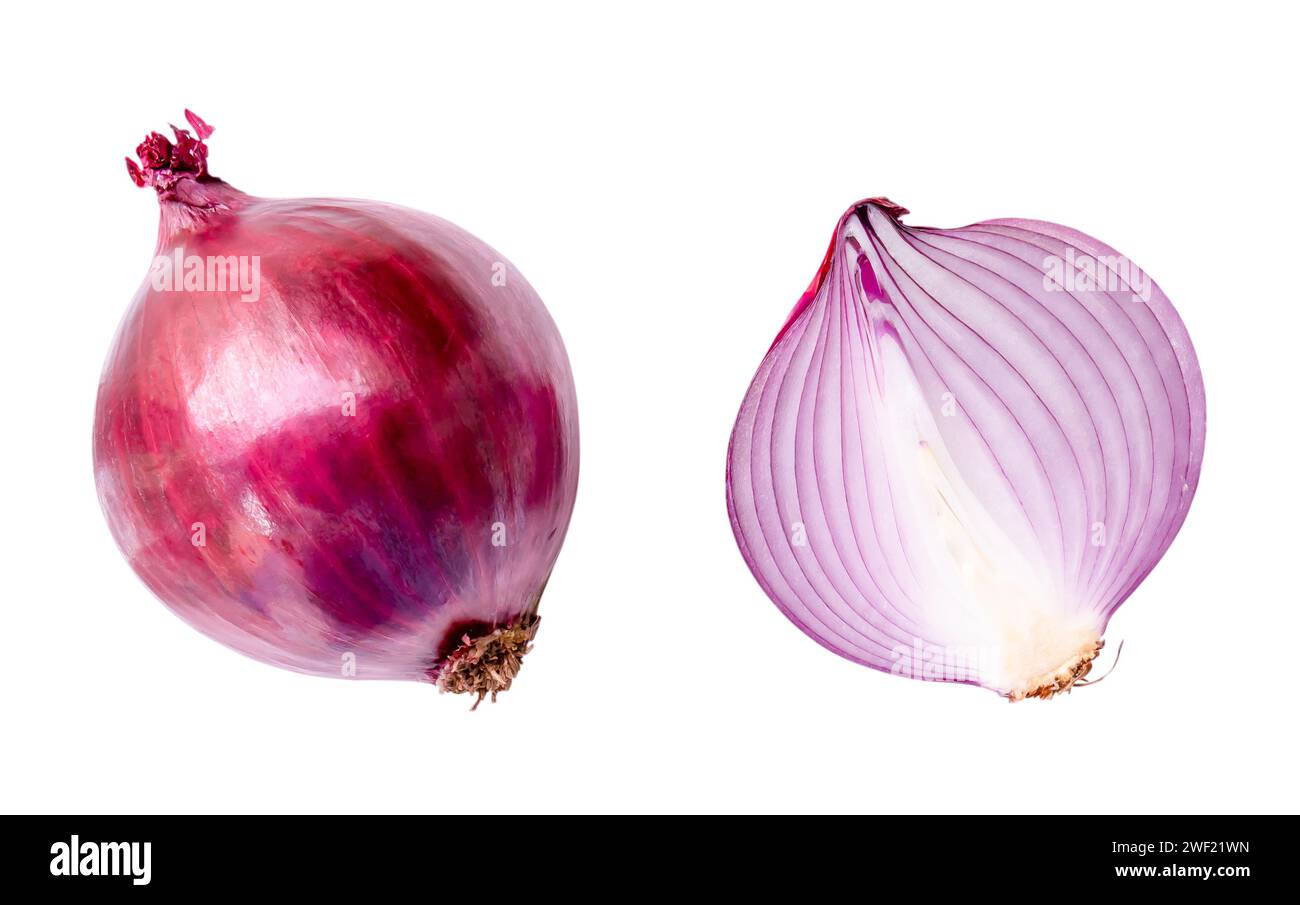 Top view of fresh red or purple onion with half in set is isolated on ...