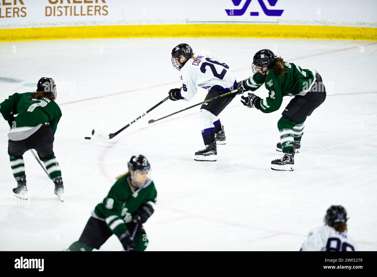 Tsongas Center. 27th Jan, 2024. Massachusetts, USA; Minnesota forward ...