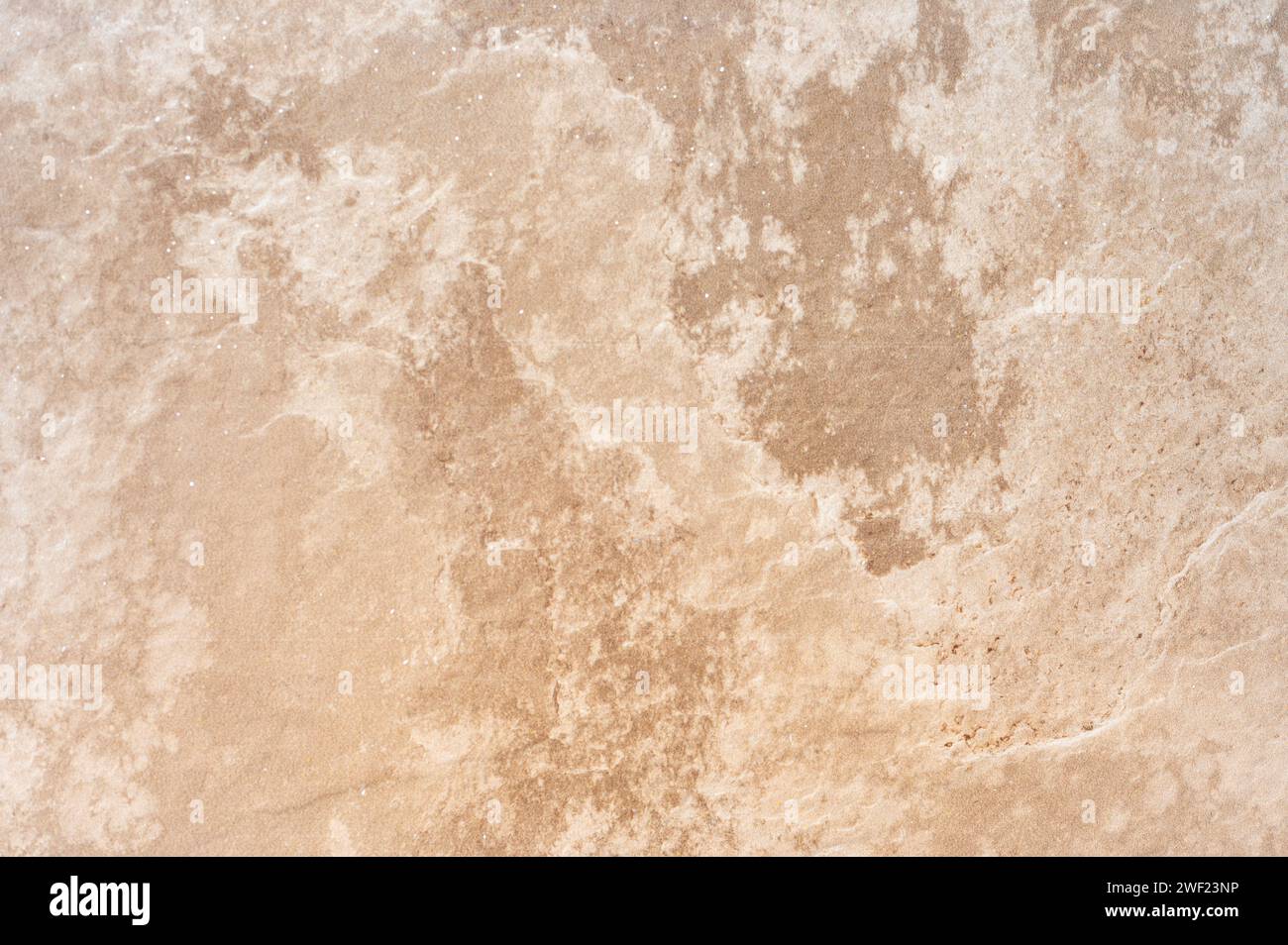 stone texture. Beige Marble Elegance Luxurious Natural Stone Background ...