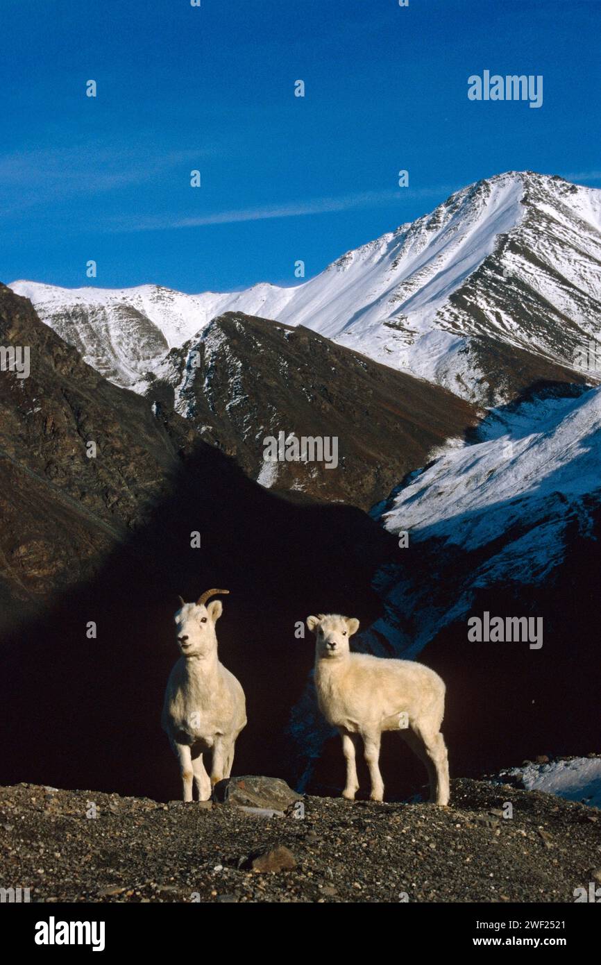 Margaret brooks hi-res stock photography and images - Alamy