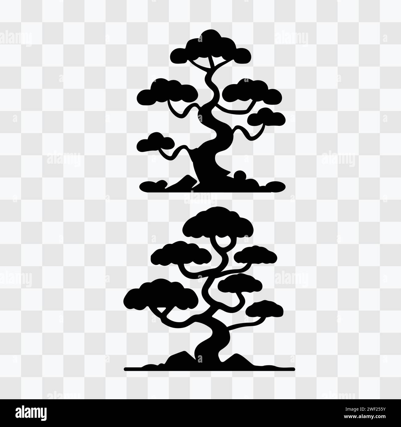 Asian bonsai Black and White Stock Photos & Images - Alamy