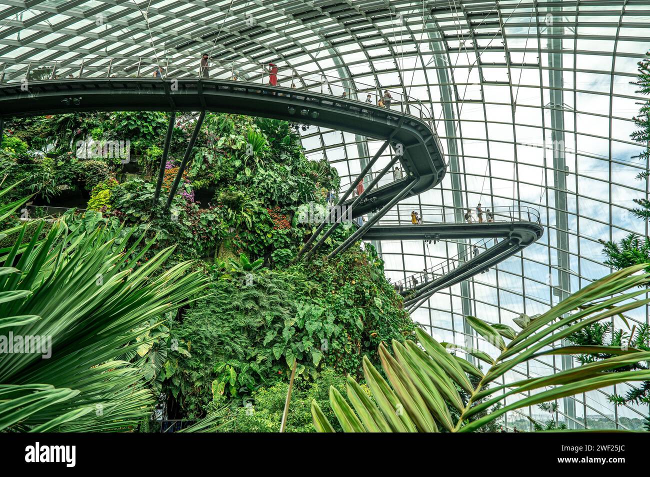 Singapore, 24 January 2024: view inside Cloud Forest pavilion at ...