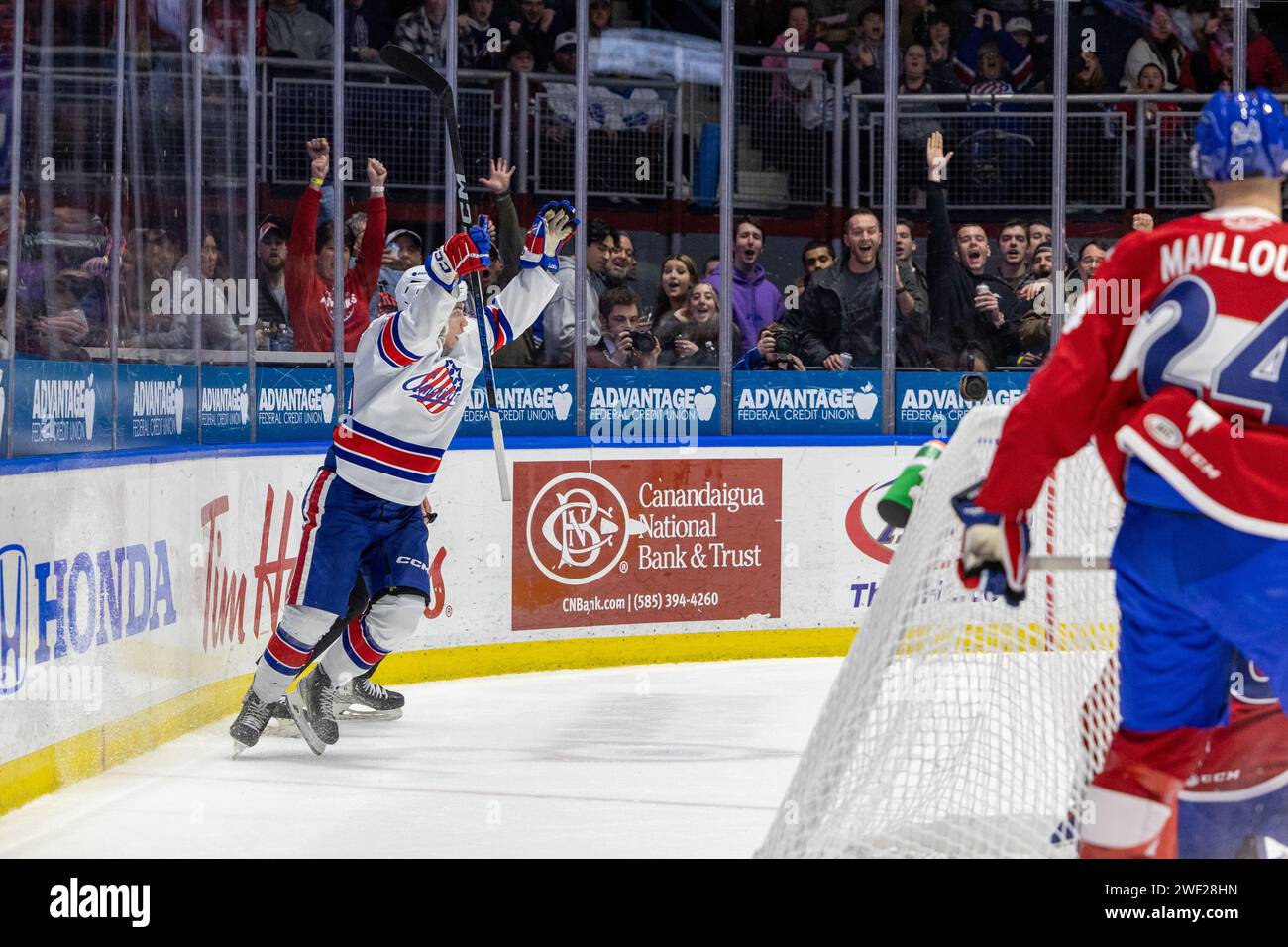 January 27th, 2024: Rochester Americans forward Viktor Neuchev (79 ...