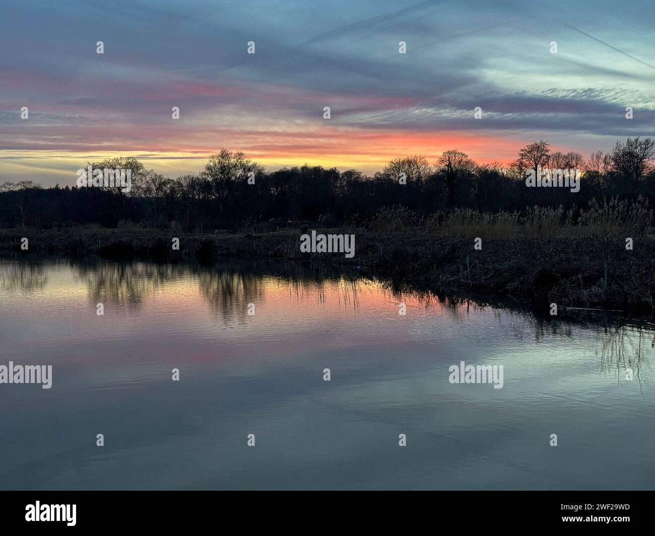 Station Lane, Milford. 27th January 2024. A fine end to the day for the ...