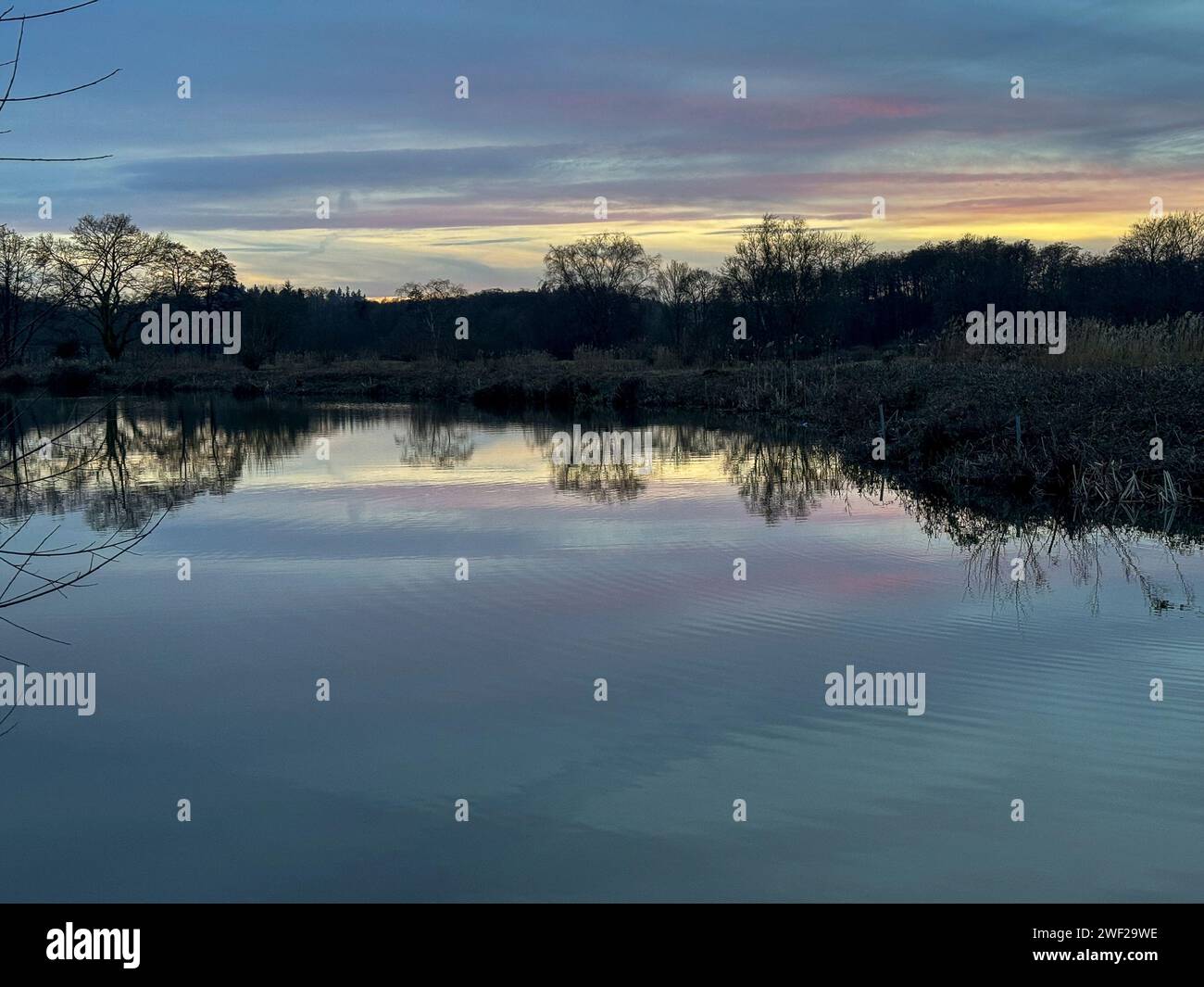 Station Lane, Milford. 27th January 2024. A fine end to the day for the ...