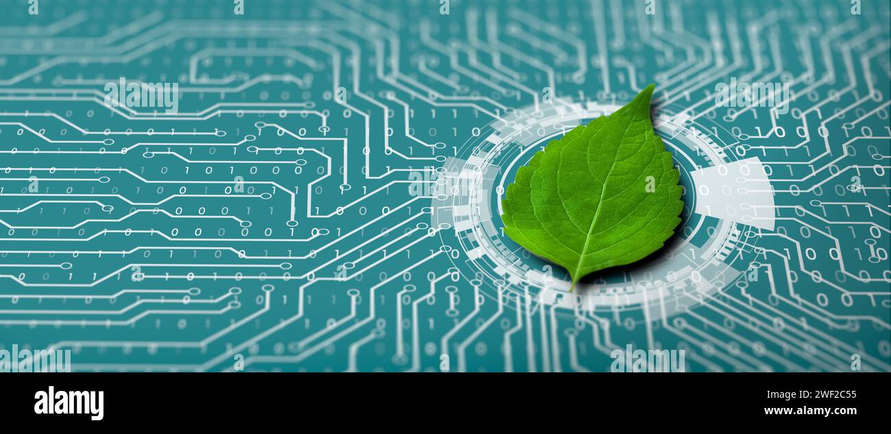 Green leaf on the converging point of computer circuit board. Nature ...