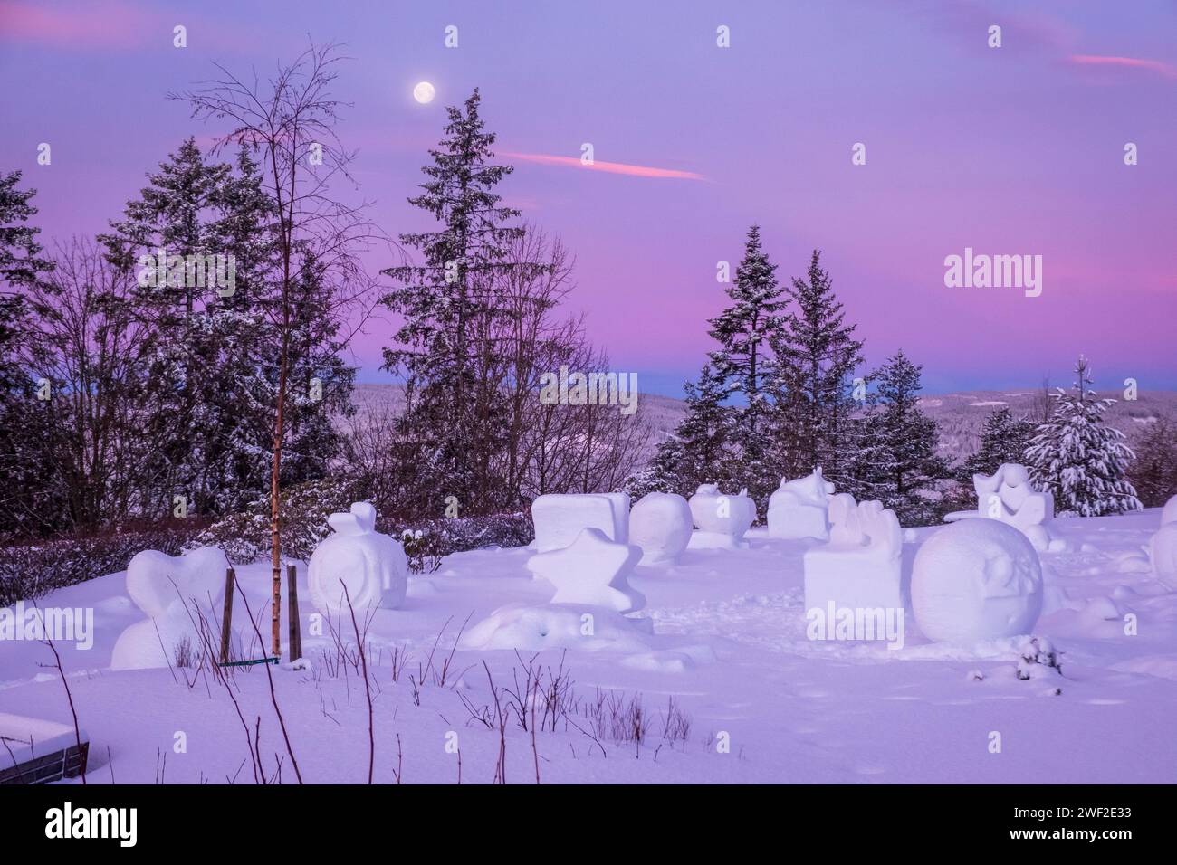 Moonset in a purple sky at dawn, snow sculptures, Holmenkollen, Oslo ...