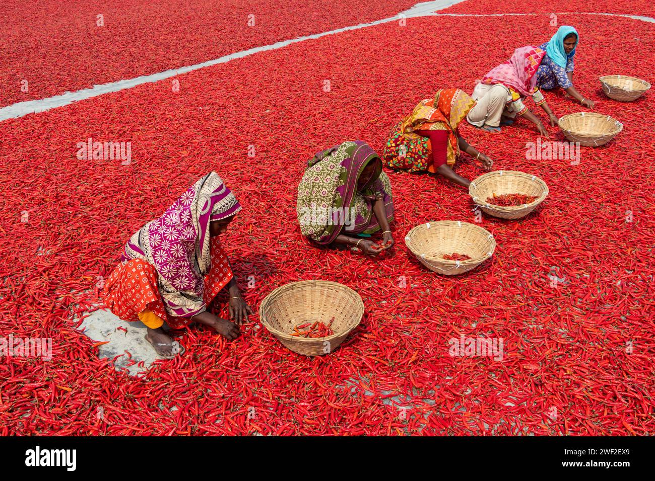 Poor harvest 2024 hi-res stock photography and images - Alamy