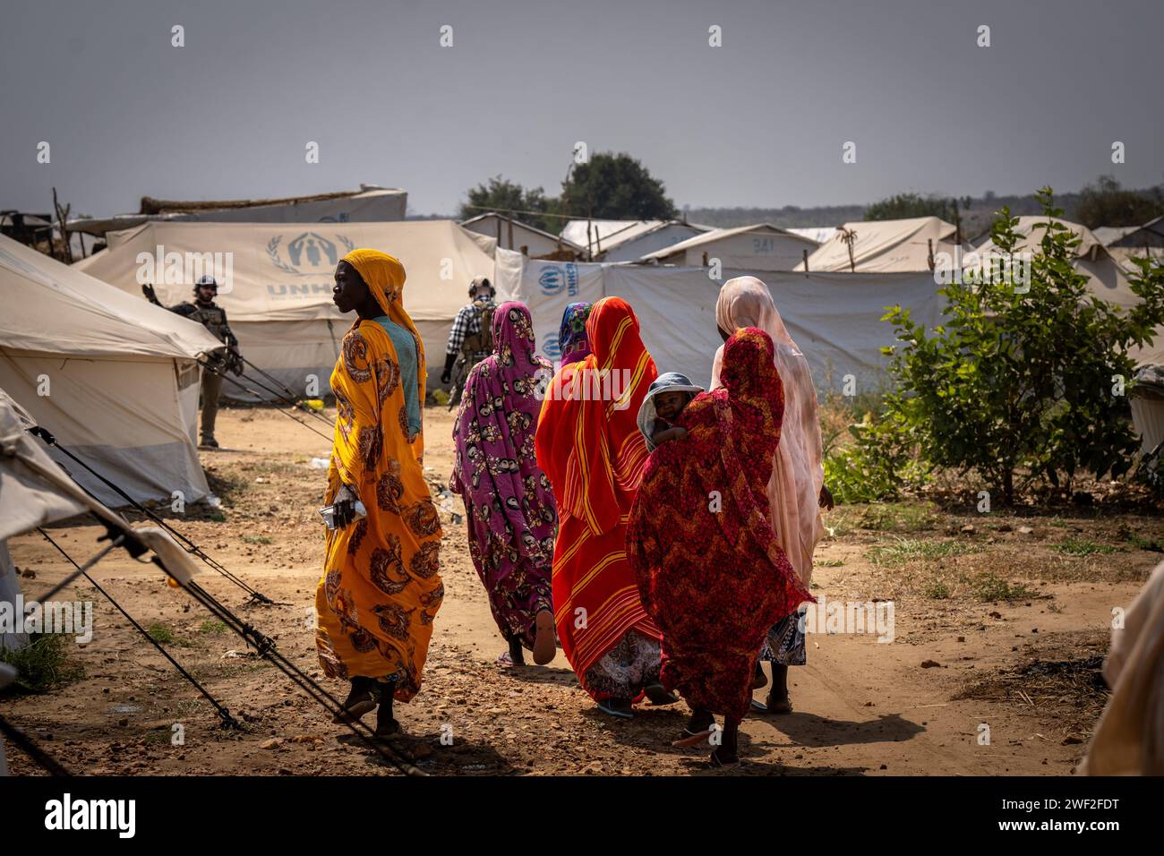 Sudan war 2024 women hi-res stock photography and images - Alamy