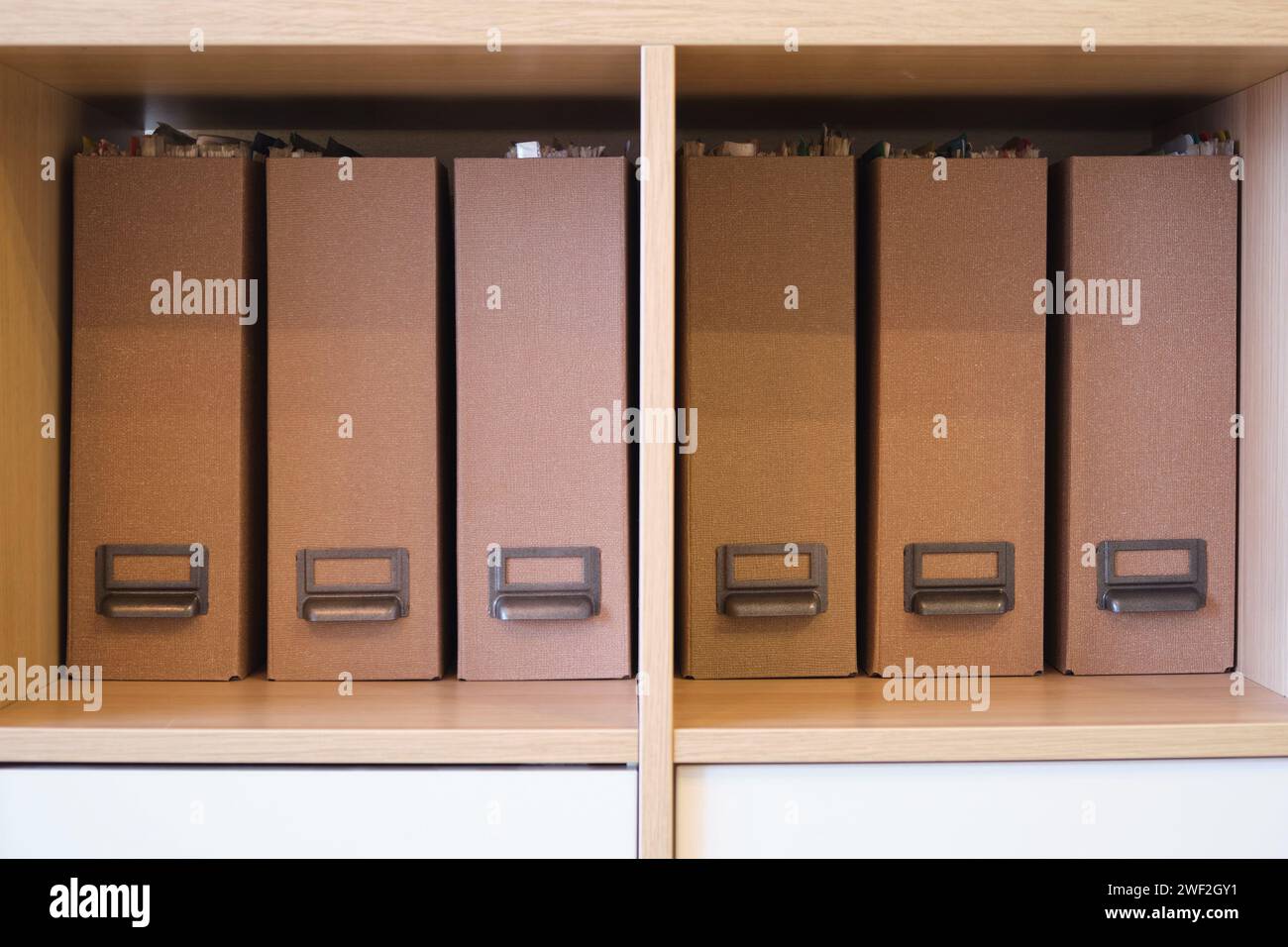 Filling the office cabinet with folders with documents, arranging files ...