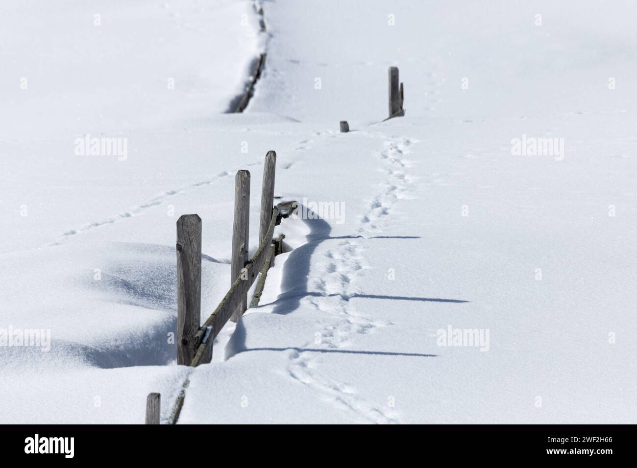 Fenceposts hi-res stock photography and images - Alamy