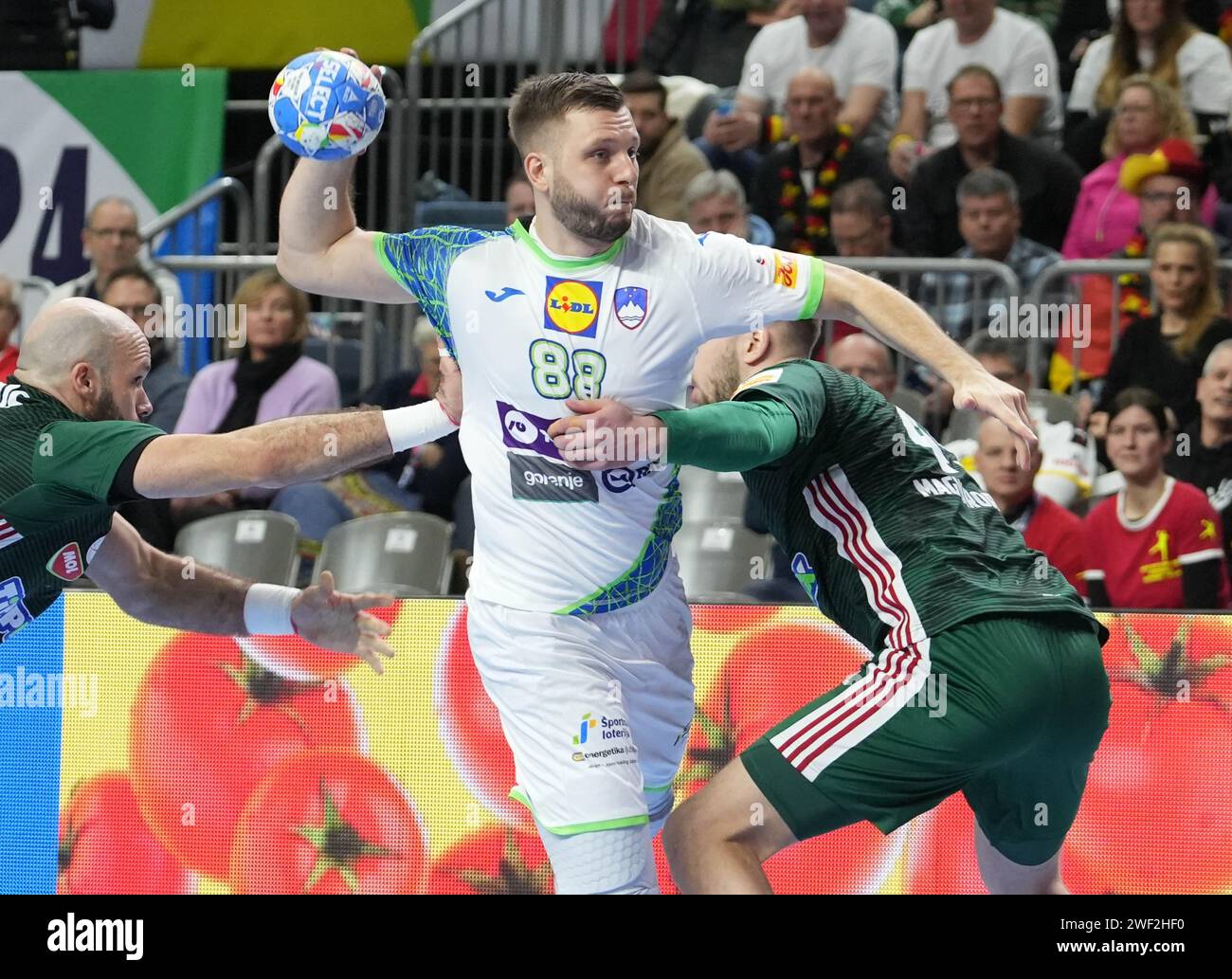 Aleks Vlah of Slovenia during the Men's EHF Euro 2024, Placement match ...