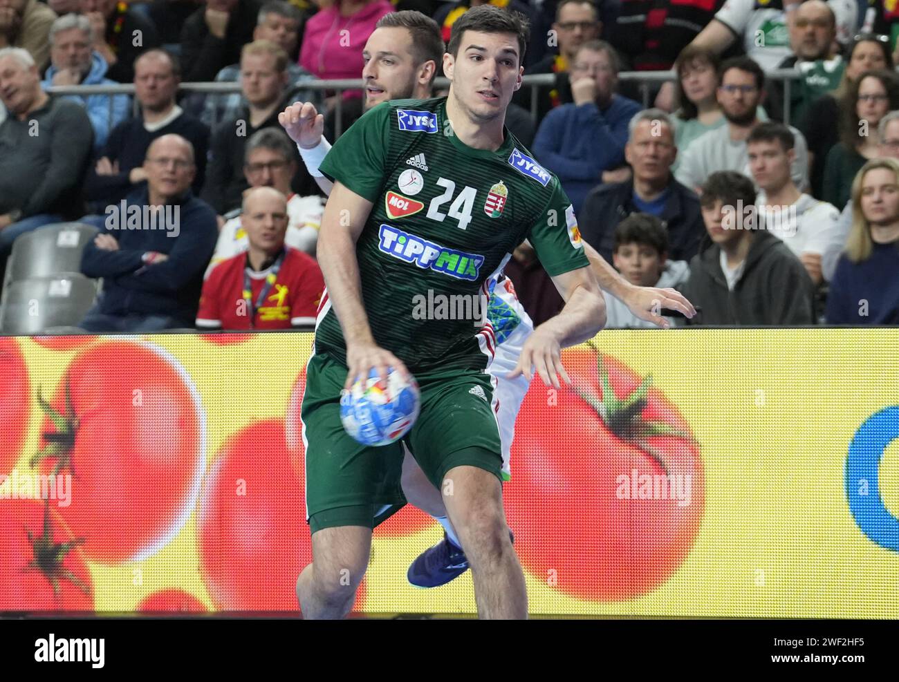 Gergo Fazekas of Hungary during the Men's EHF Euro 2024, Placement ...