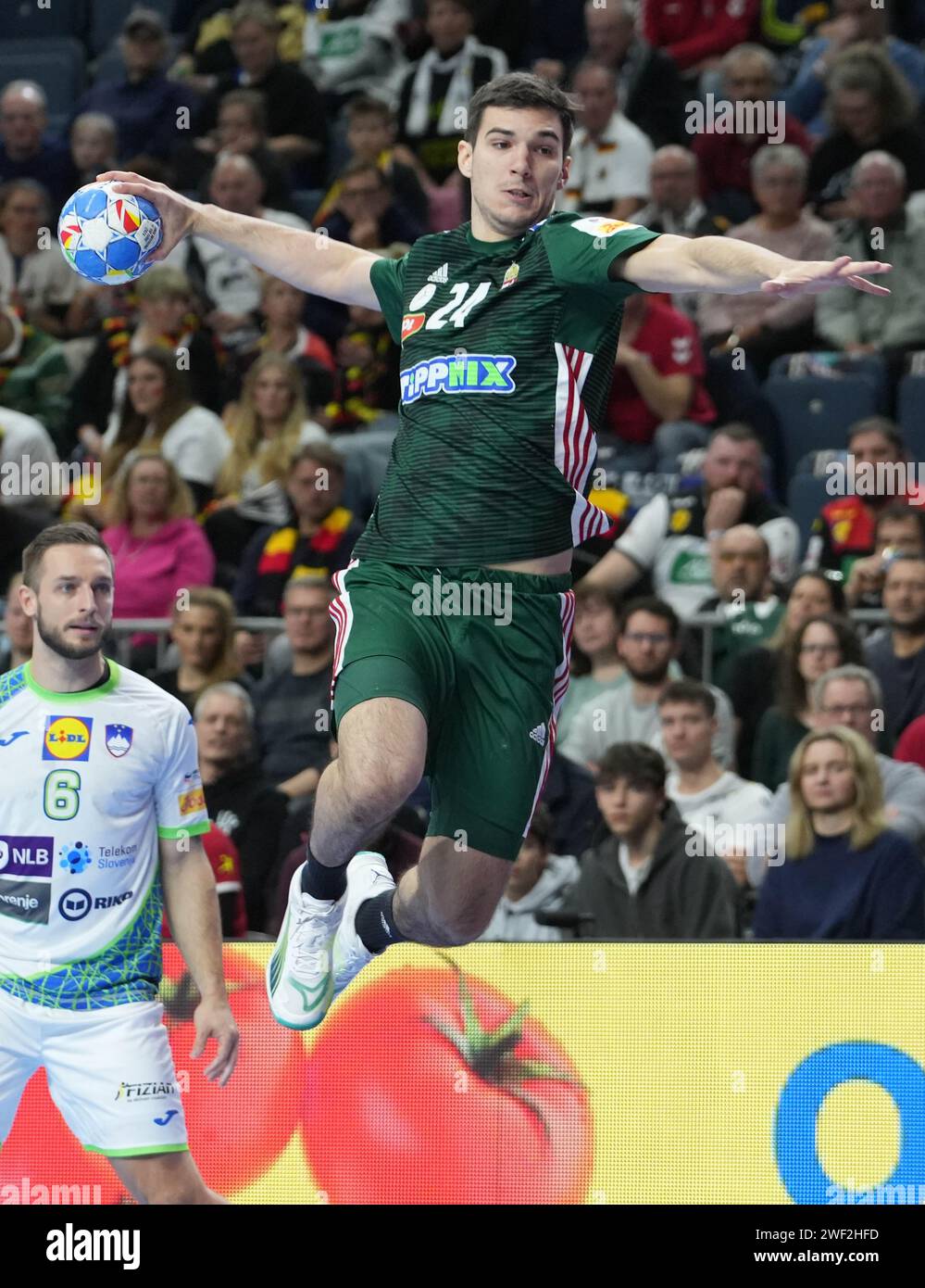Gergo Fazekas of Hungary during the Men's EHF Euro 2024, Placement ...