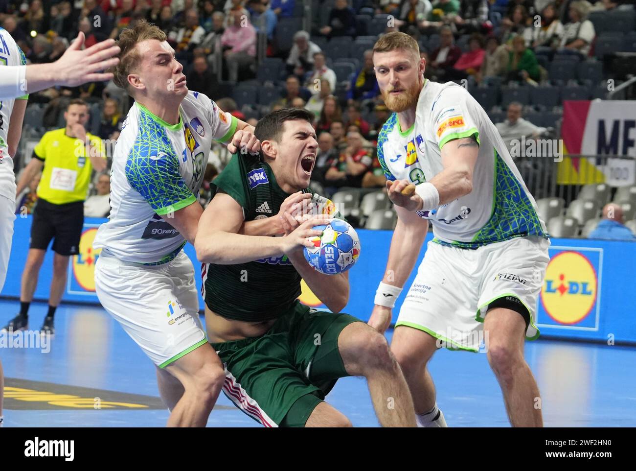 Gergo Fazekas of Hungary and Stas Jovicic Slatinsek, Blaz Blagotinsek ...