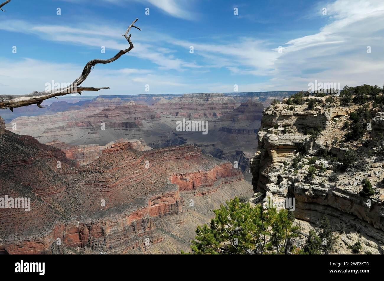 South Rim, view into the Grand Canyon, Arizona, USA Stock Photo - Alamy