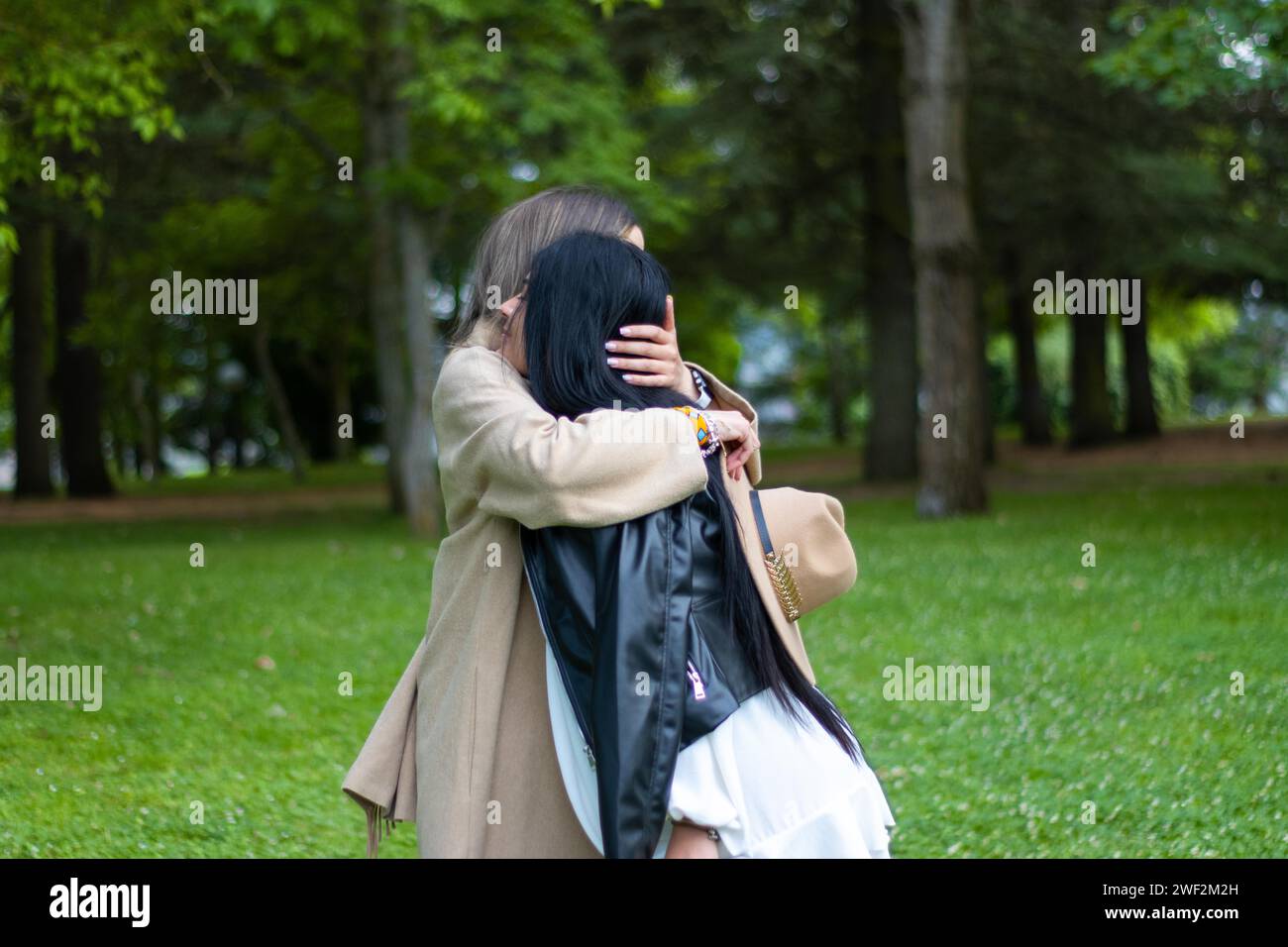 Portrait of two female friends standing hugging on the grass, Rear view ...